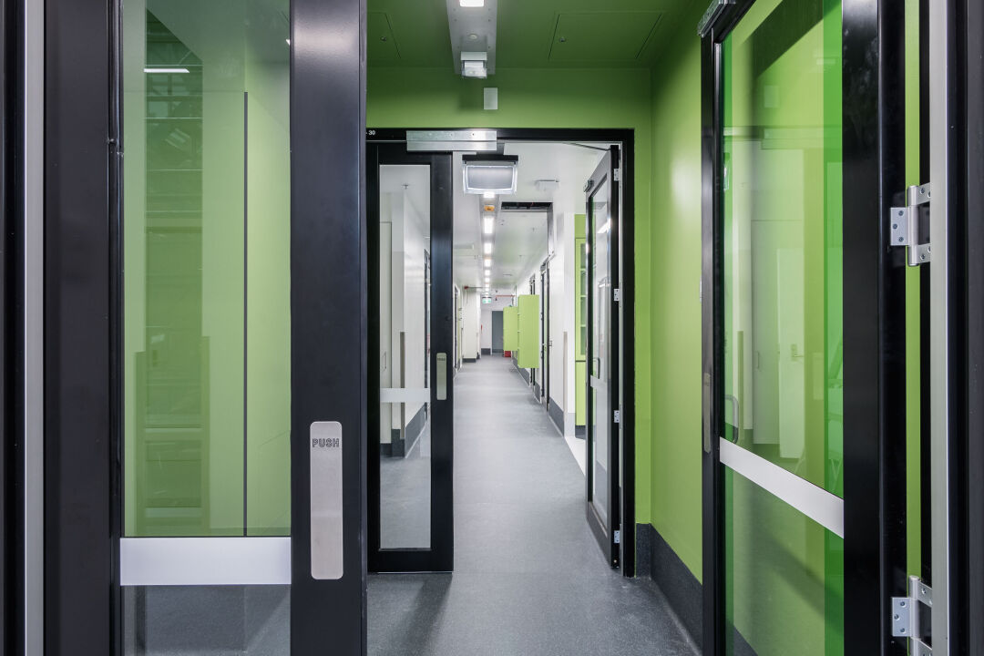 Burnet Tower PC2 Laboratory Refurbishment / Hutchies