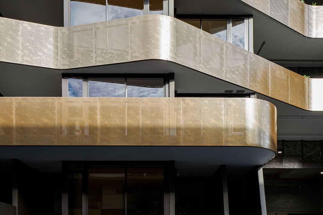 Chester & Ella / Hutchies