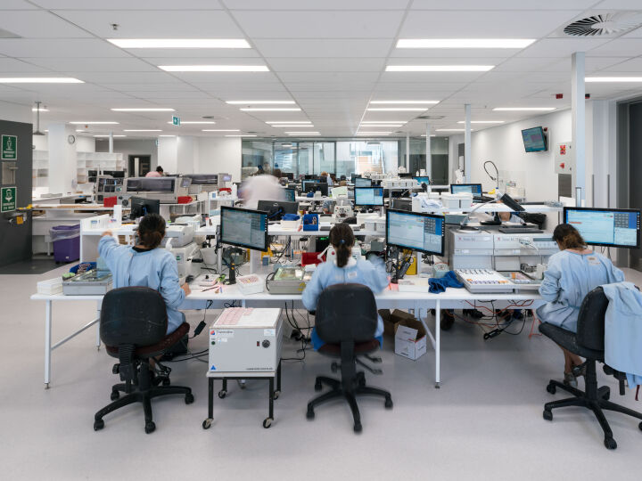 Sullivan Nicolaides Pathology / Hutchies