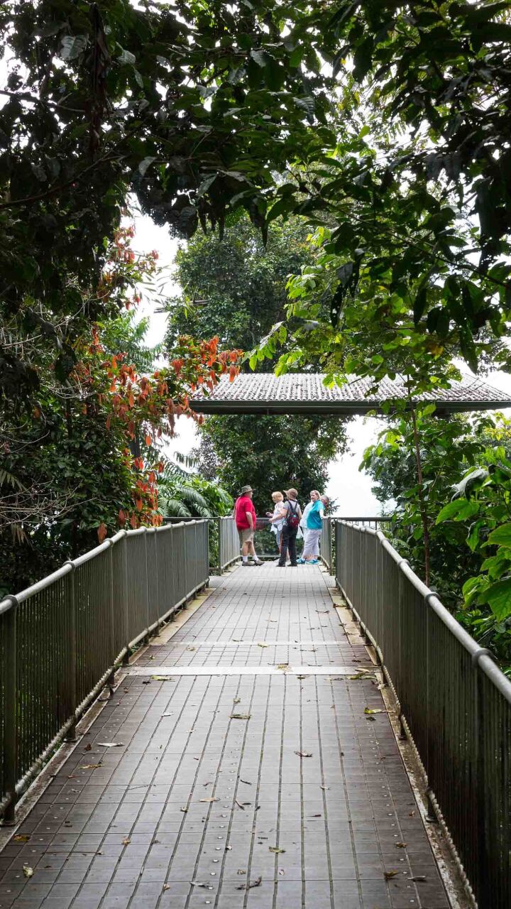 Mamu Tropical Skywalk / Hutchies