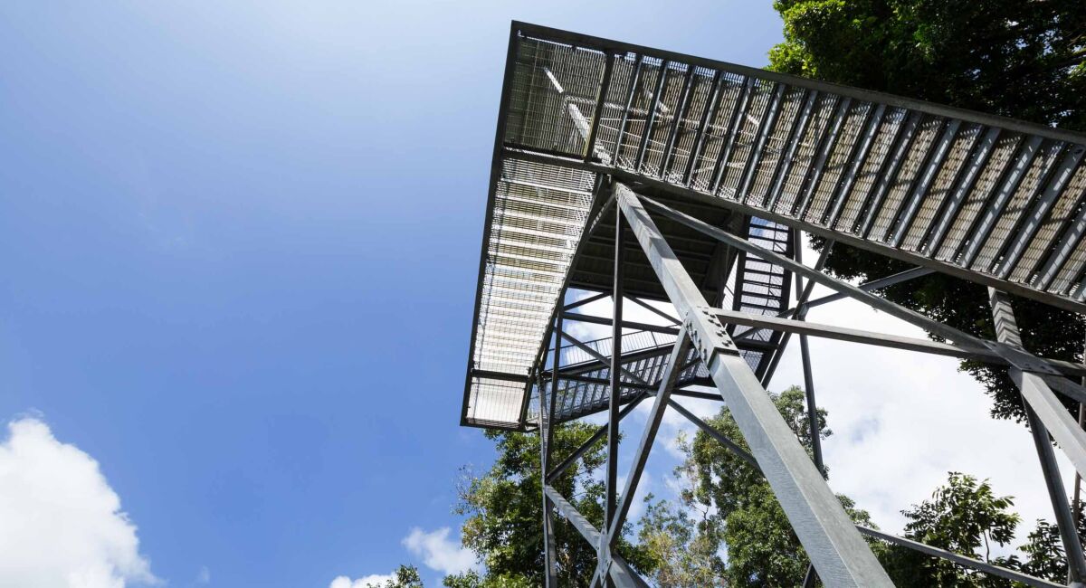 Mamu Tropical Skywalk / Hutchies